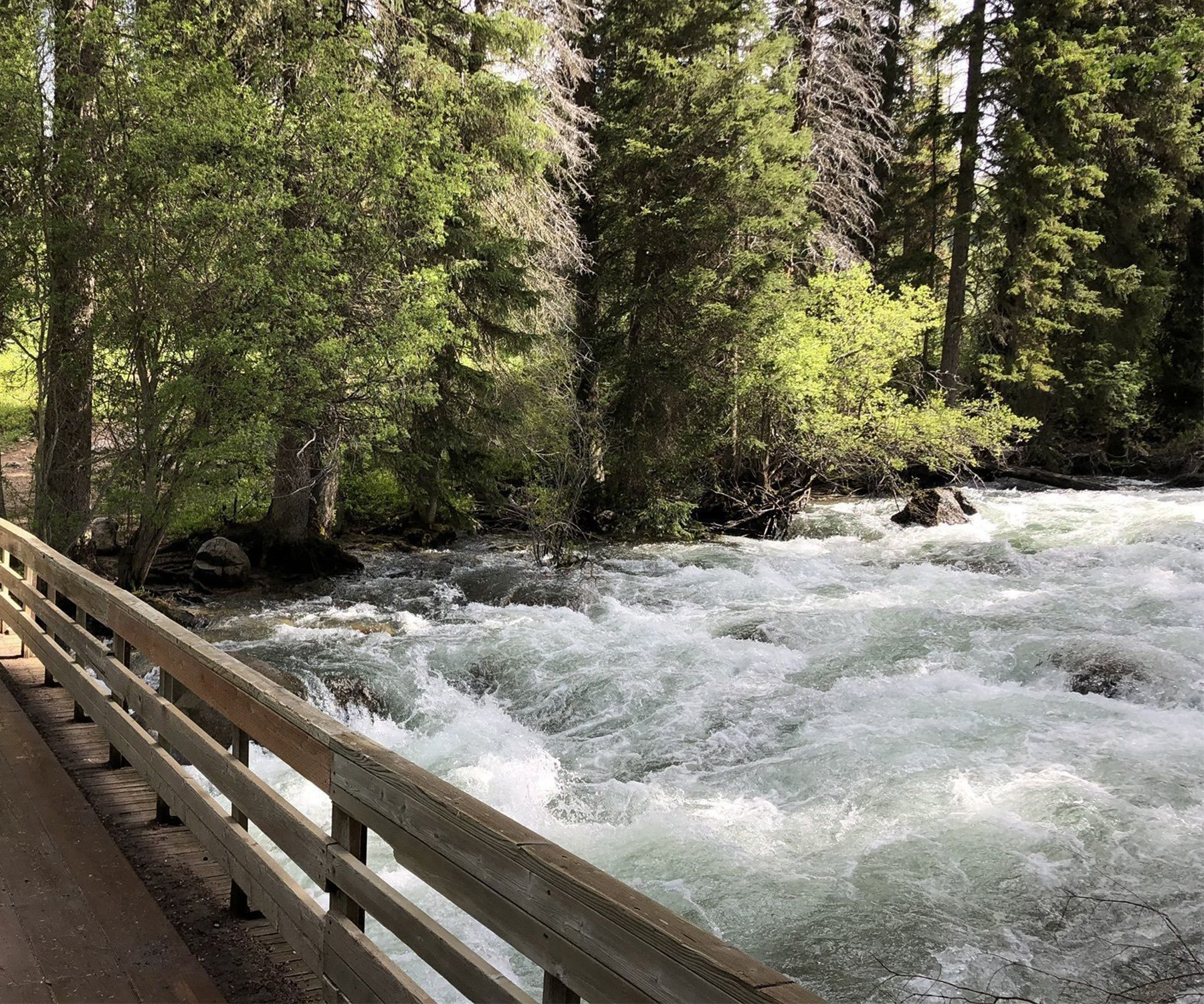 Explore Wydaho: Sheep Bridge Trail - Wydaho Properties